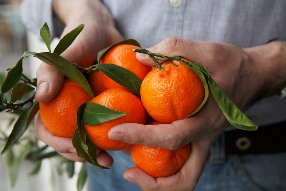 Chlorpyrifos: End for Harmful Insecticide?