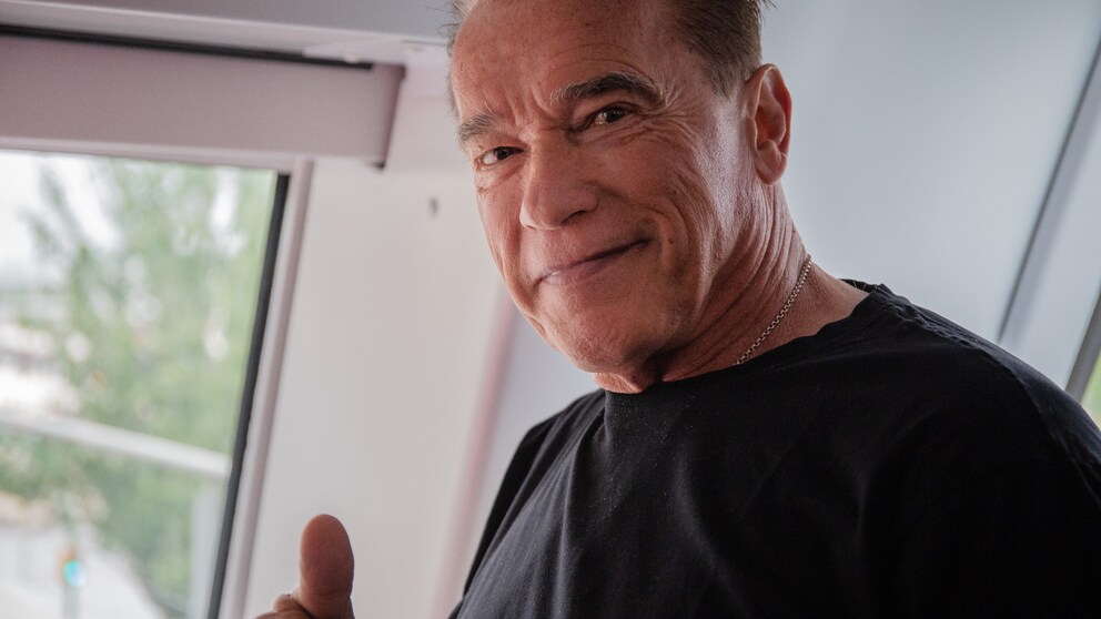 The Real "Arnold Schwarzenegger" Workout - FITBOOK