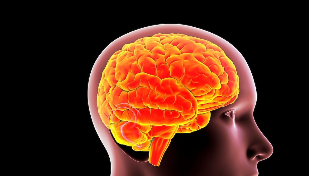 TBE - When the Brain Becomes Inflamed - FITBOOK
