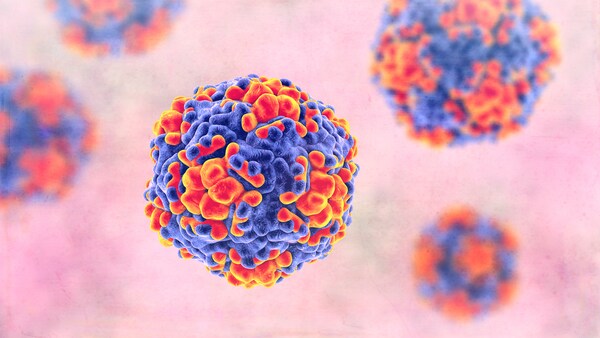 What Is the Bornavirus and How Dangerous Is It? - FITBOOK