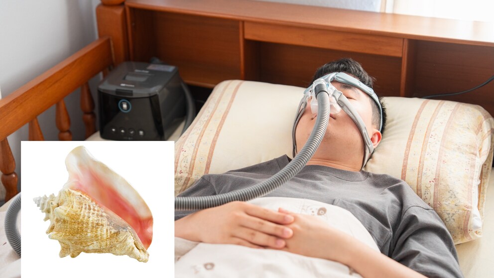 Playing a conch shell trumpet may alleviate sleep apnea - FITBOOK