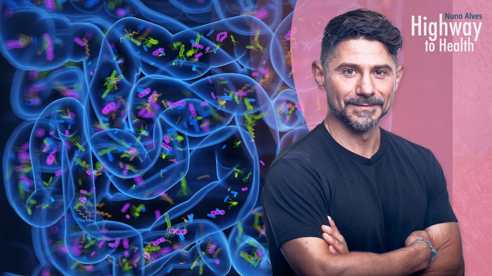 Gut Microbiome Determines How Healthily We Age FITBOOK