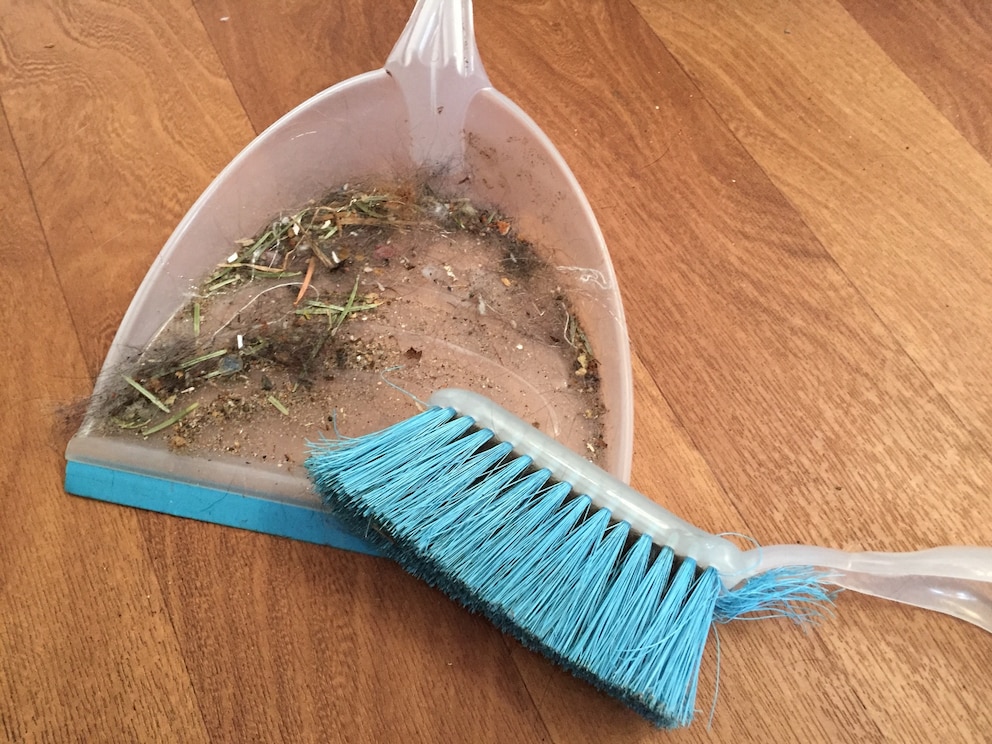 A Trick to Never Stir Up Dust While Sweeping Again