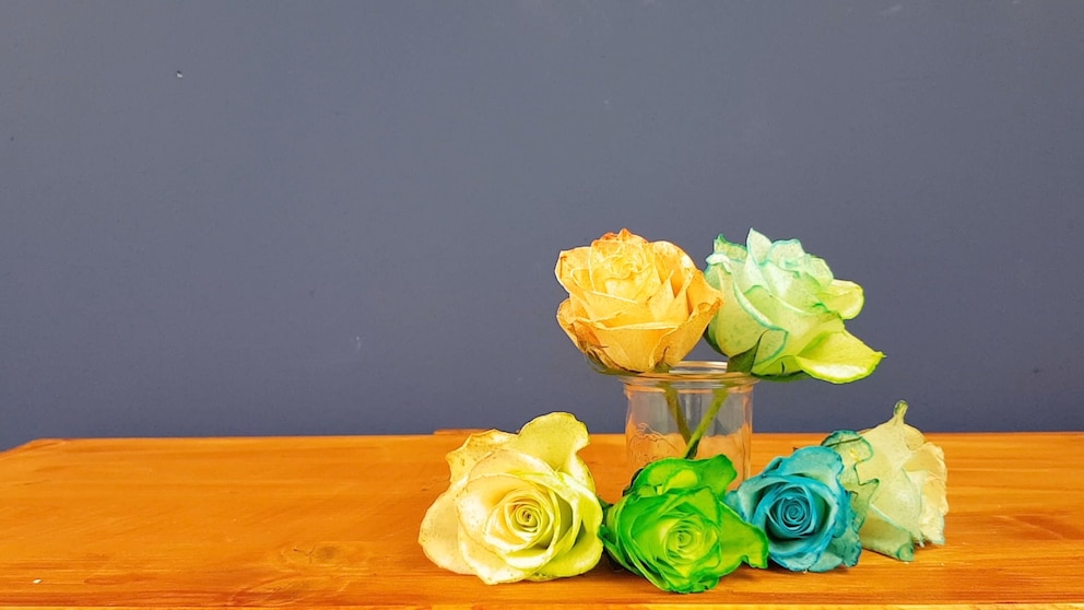 How to Dye Cut Roses in 4 Steps – Video Guide