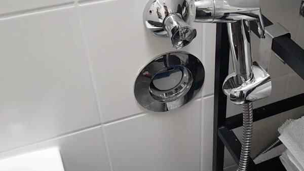 Add a Bidet to Your Bathroom with Video Guide - myHOMEBOOK
