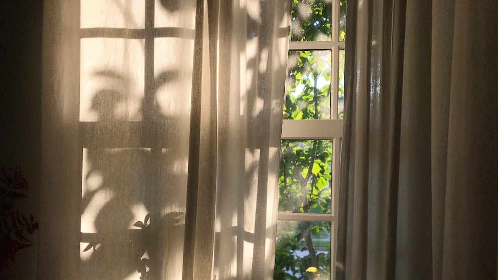 Window Privacy: 7 Options at a Glance - myHOMEBOOK