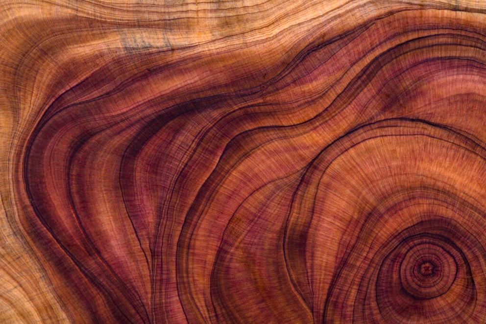 Wood Types in Interesting Colors