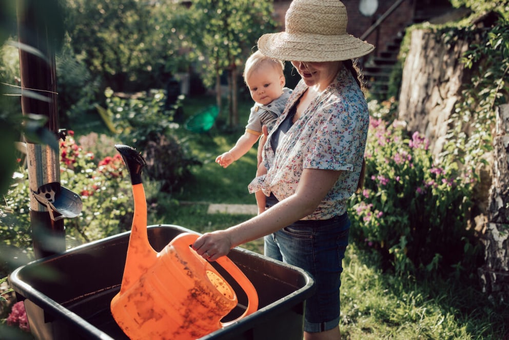 4 methods for collecting rainwater in the garden