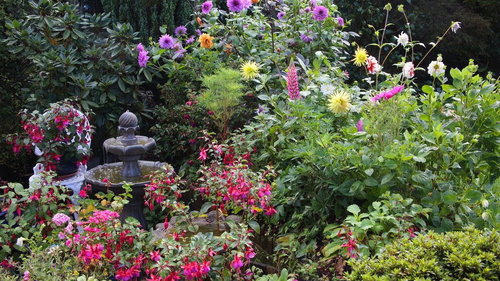 12 Colorful Fall Plants for Gardens and Balconies