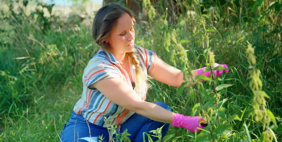 How to Easily Make Your Own Nettle Manure for Fertilizing