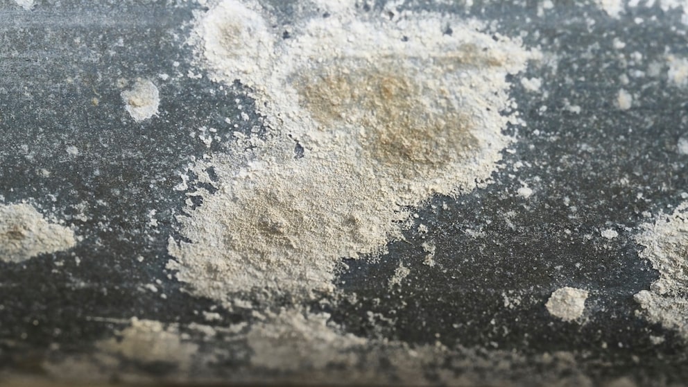 Mold or Saltpeter? How to Tell the Difference