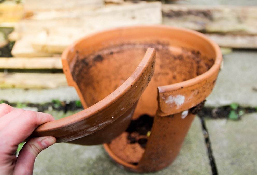 Simple Trick Prevents Frost Damage to Flower Pots