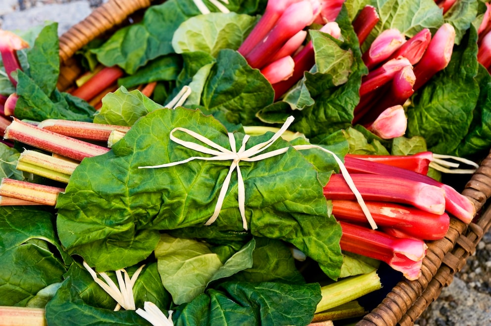 Properly Store Rhubarb to Keep It Fresh Longer
