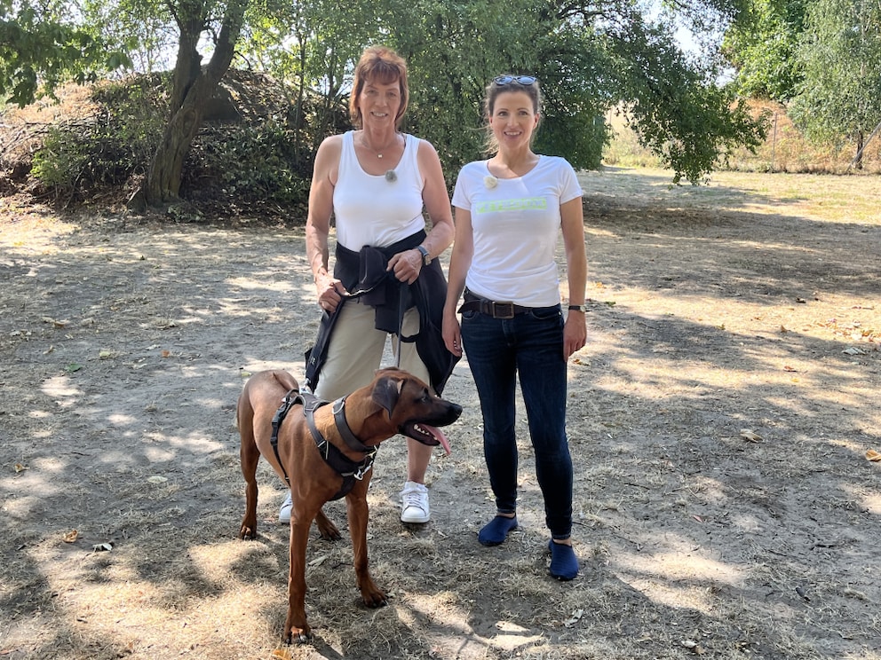 Training Self-Control in Dogs – PETBOOK Dog School
