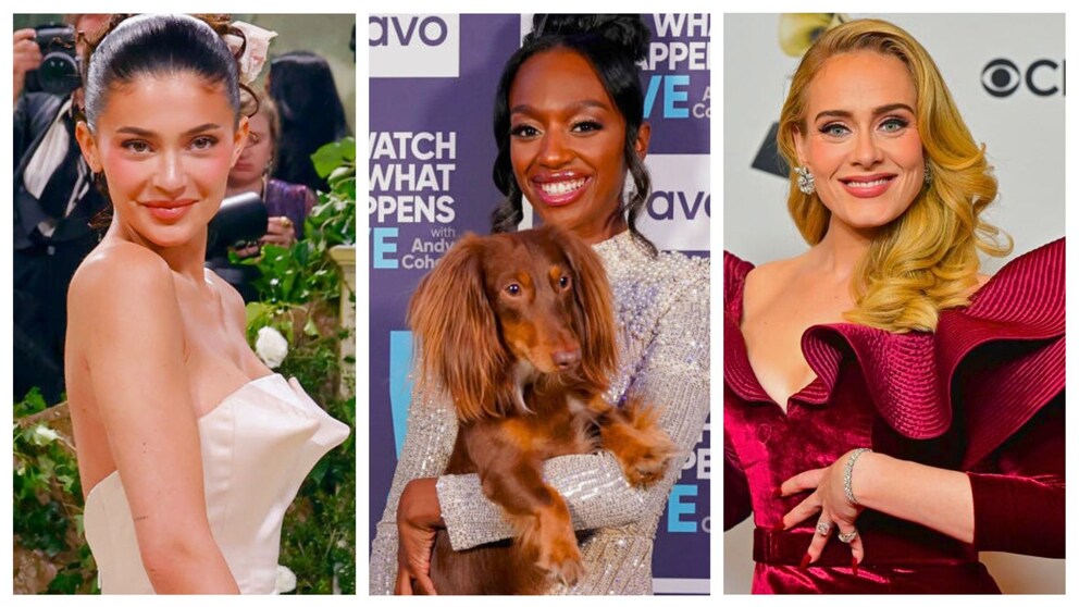 World Dachshund Day celebrates this popular dog breed - PETBOOK