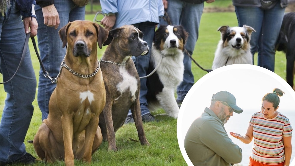 "I no longer put up with everything at dog training school." - PETBOOK