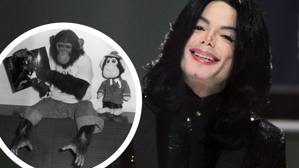 What Happened to Michael Jackson's Chimpanzee?