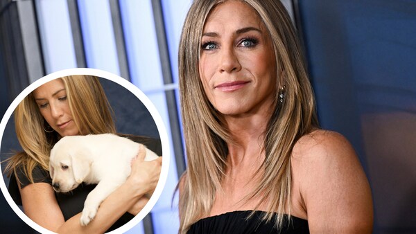 Jennifer Aniston Adopted Stubborn Movie Dog on 'Friends'