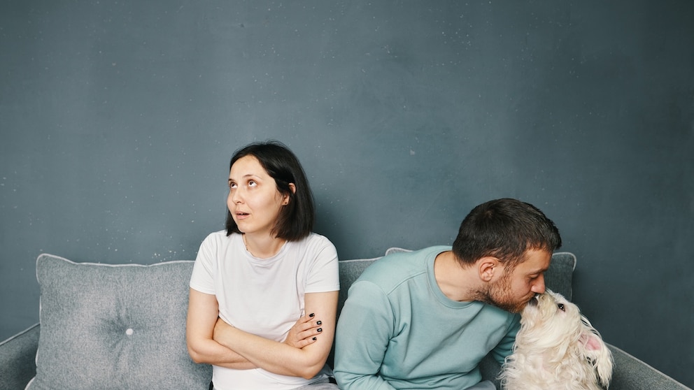 What to Do if Your Partner Is Jealous of the Dog? - PETBOOK