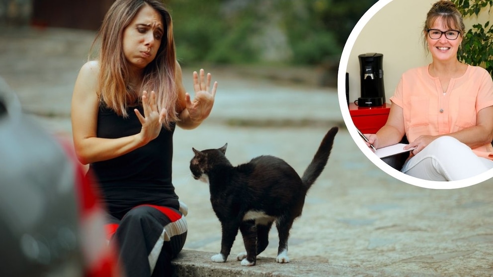 Are Cat Haters Really Narcissists? Psychologist Weighs In