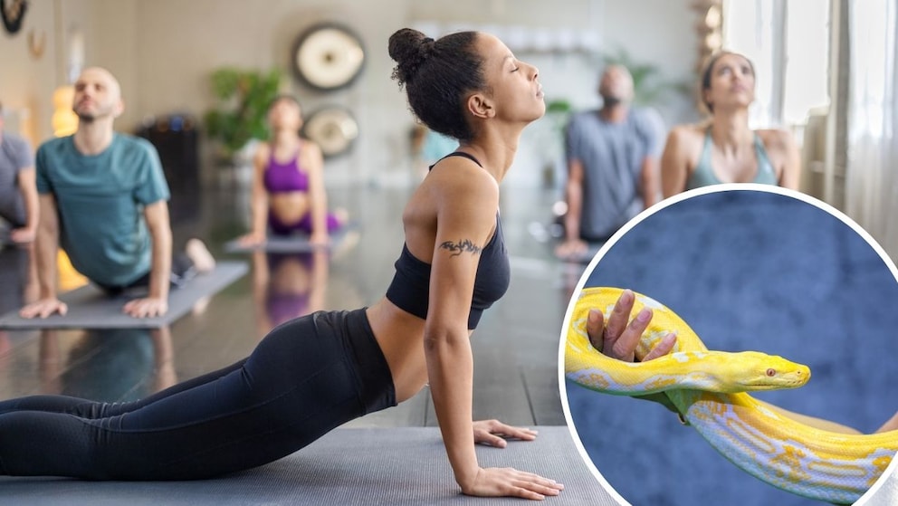 Yoga With Snakes? Here's What an Expert Says