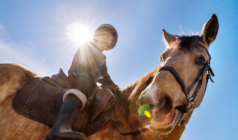 Why Do Horses Foam at the Mouth? - PETBOOK