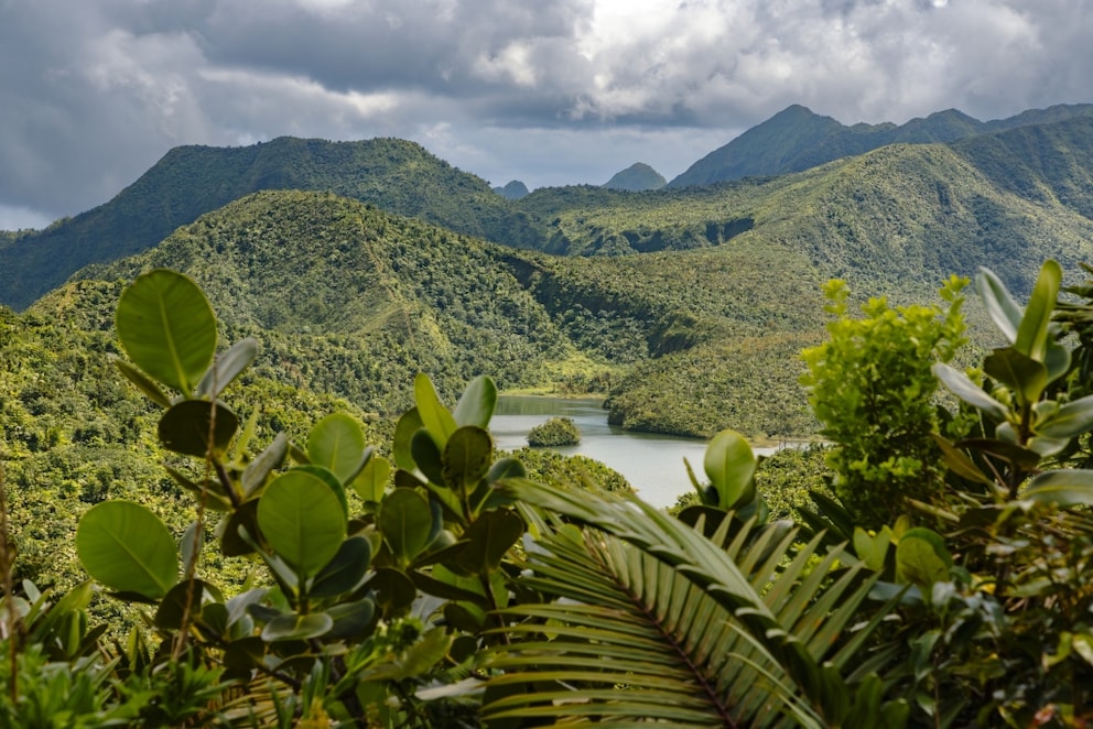 Dominica: Destinations, Sights, and Activities - TRAVELBOOK