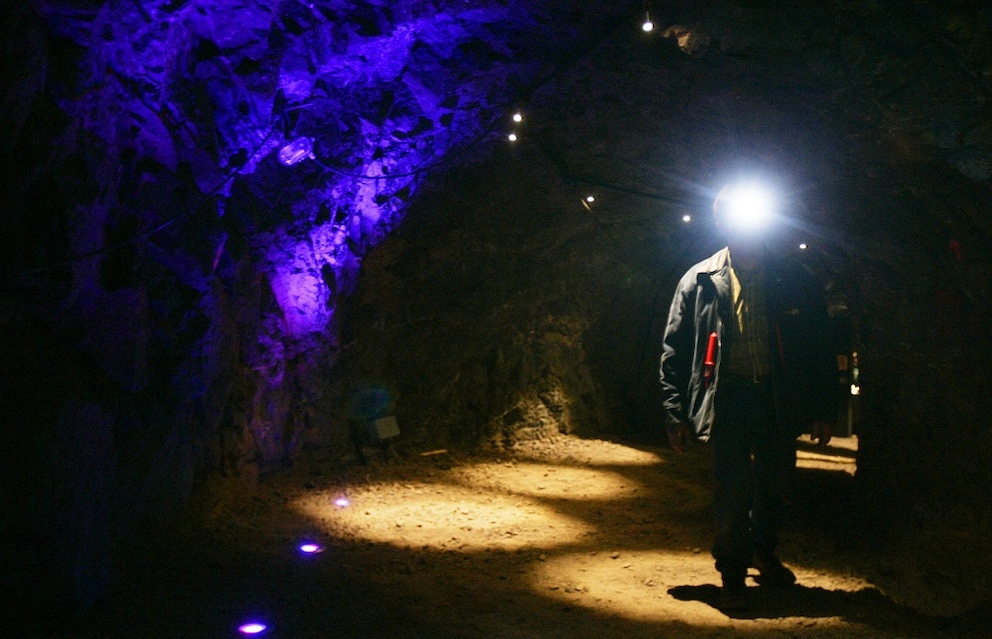 Lichtenstein Cave in the Harz: Site of the Oldest Family Tree