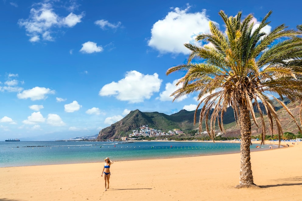 Canary Islands: What the Name Really Means